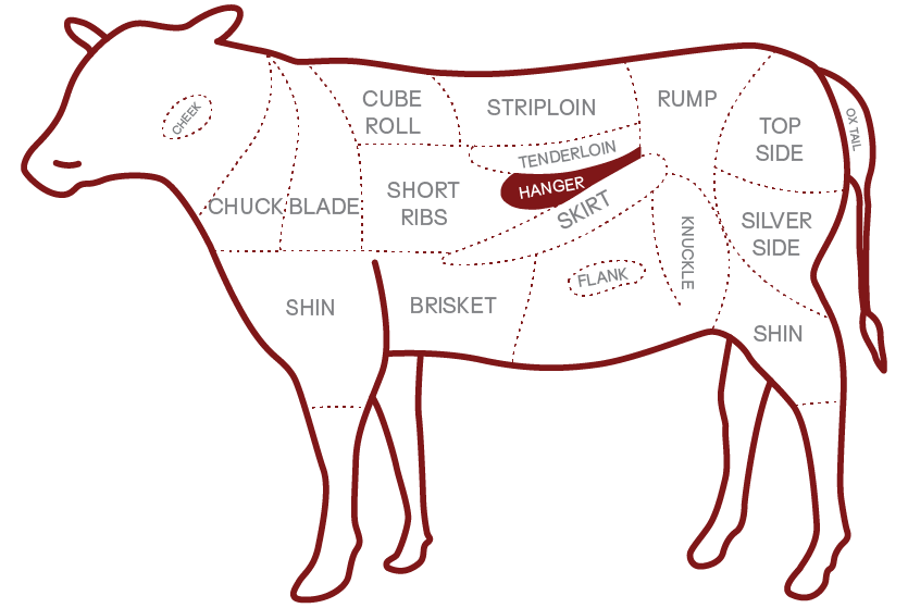 Hanger Steak Diagram